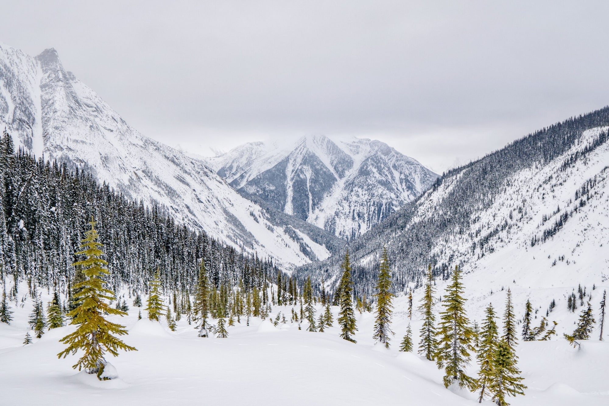 Playgrounds: How To Not Be An Idiot On Rogers Pass | Teton Gravity Research