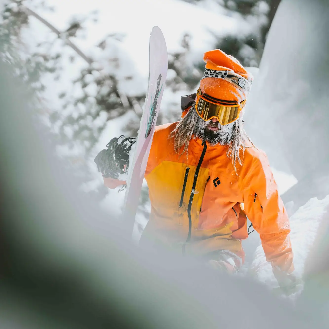 john jackson bobsleigh
