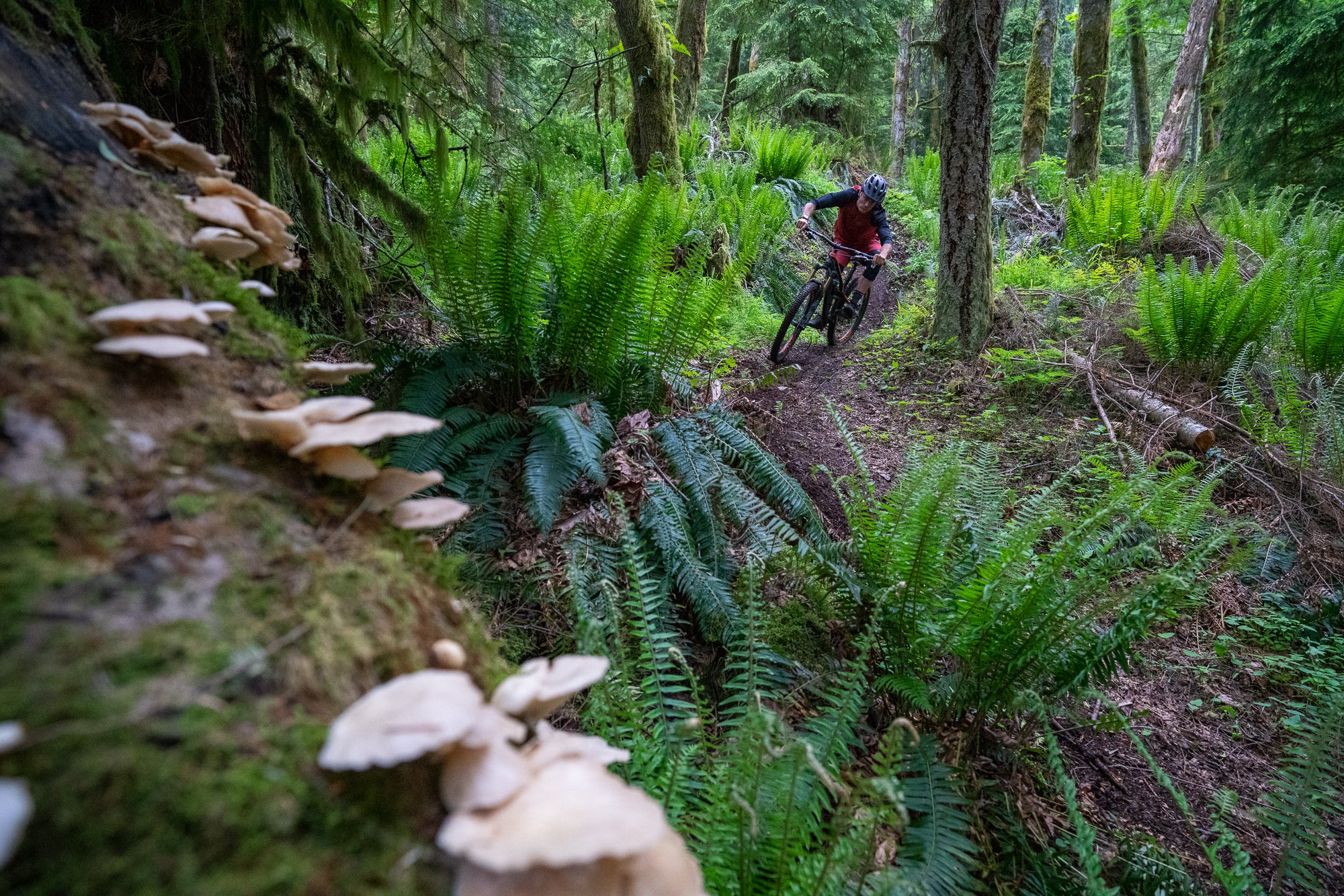 KC Deane Rides the Hydrological Cycle in 'Meltdown' | Teton Gravity ...